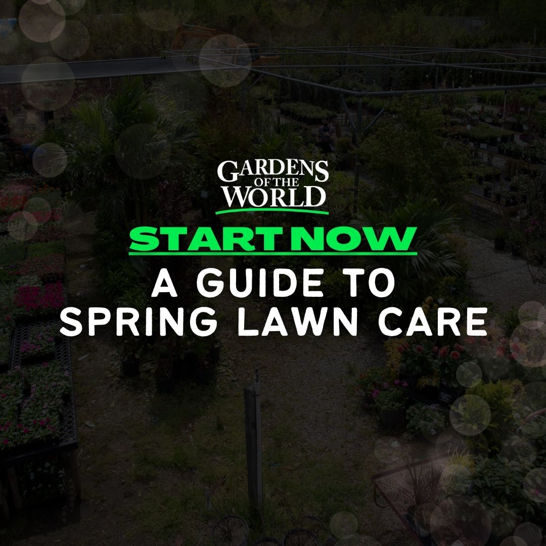 Start Now: A Guide To Spring Lawn Care — Gardens of the World